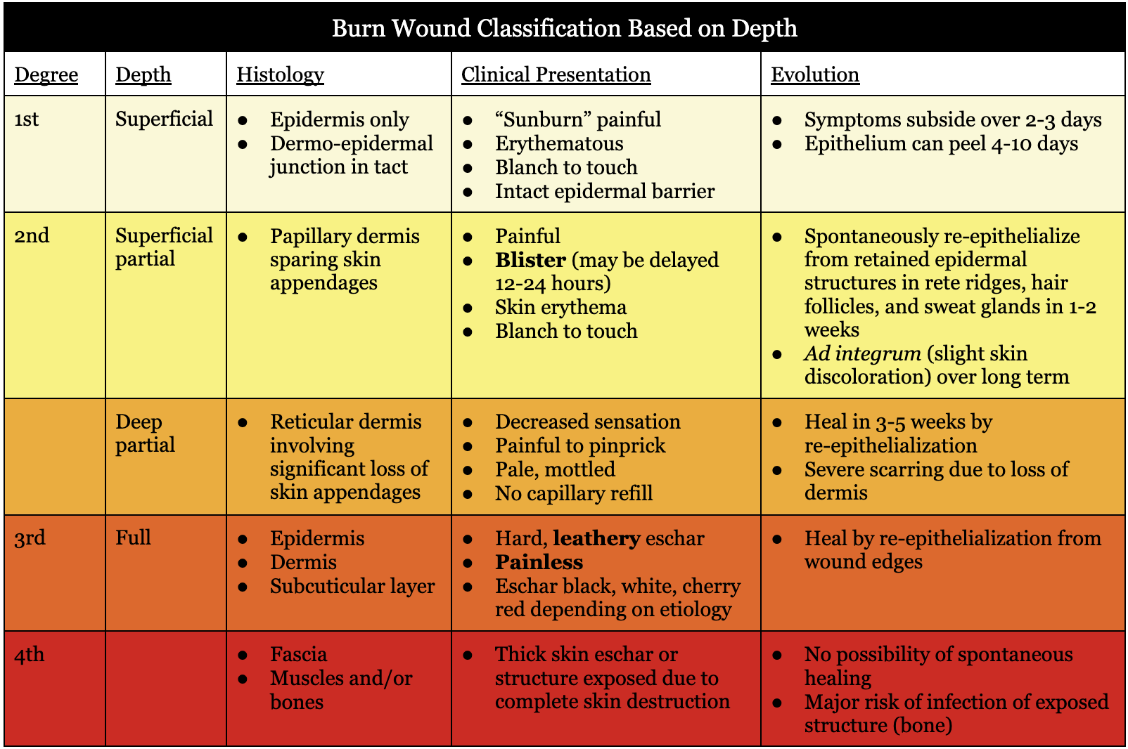 Burns – SURGERY STUDENT